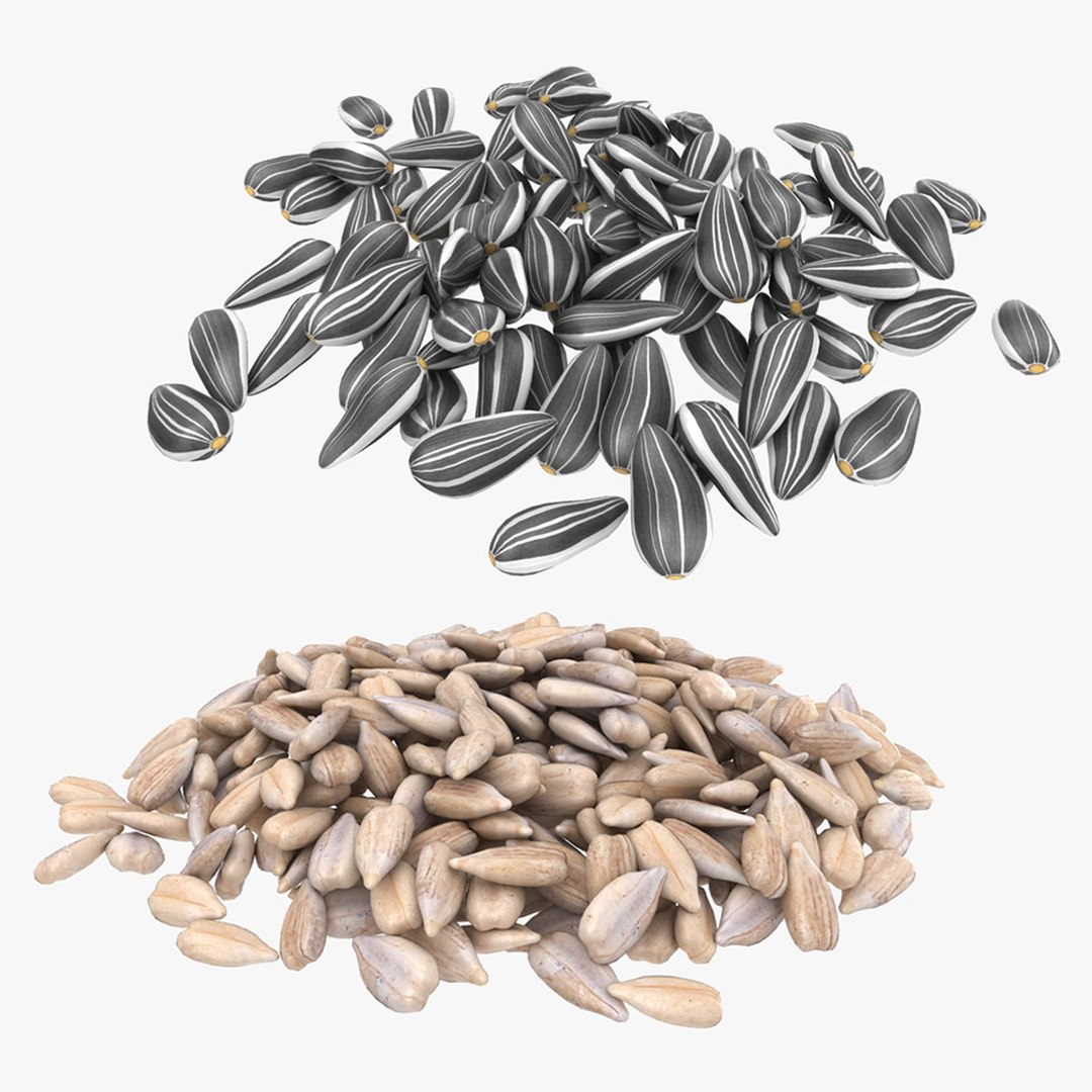 3D Sunflower Seeds Pile Collection model - TurboSquid 2108610