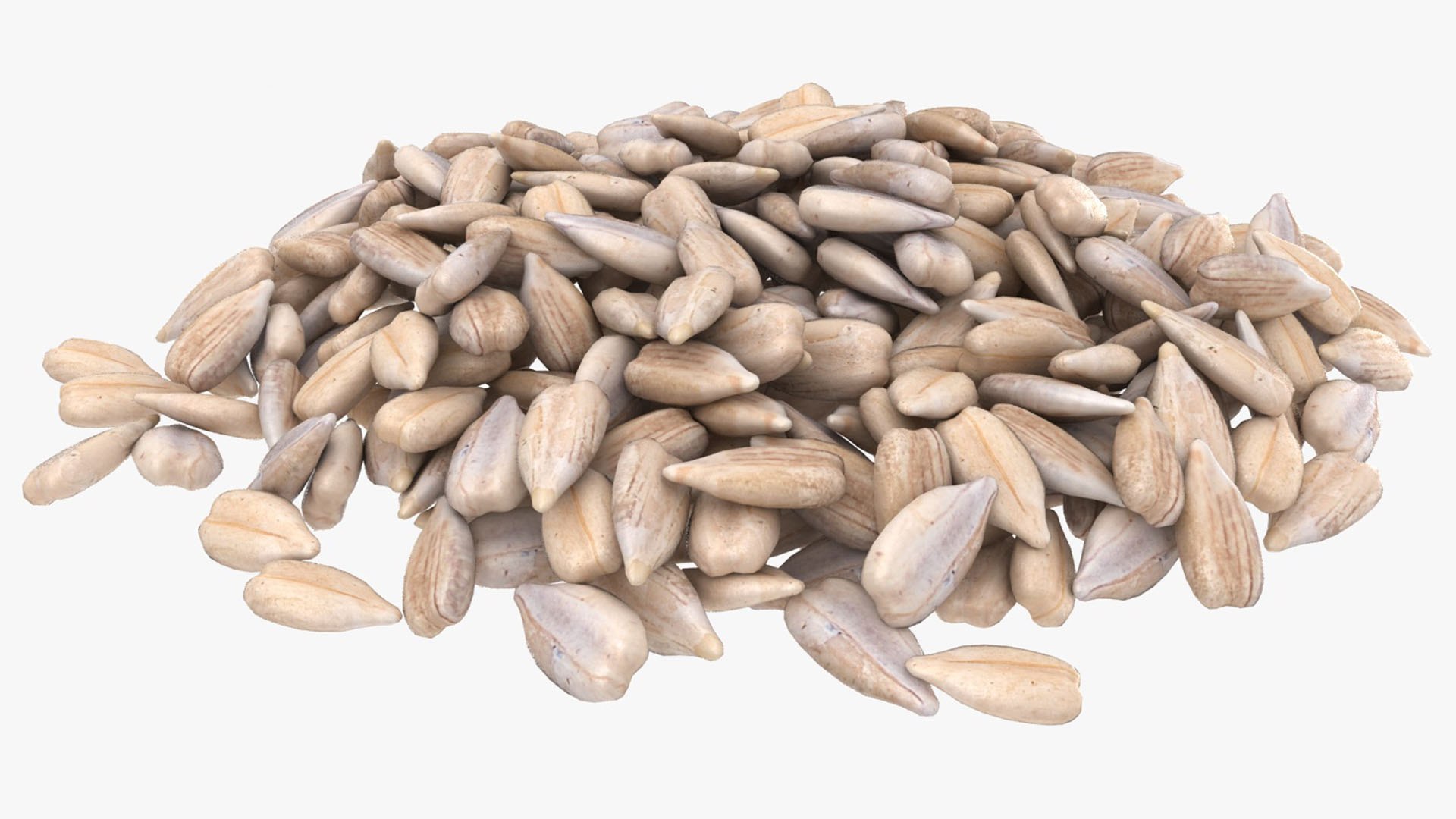 3D Sunflower Seeds Pile Collection model - TurboSquid 2108610