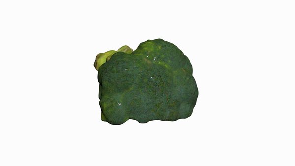 3D half broccoli - TurboSquid 1641342