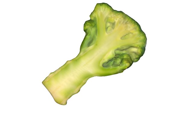 3D half broccoli - TurboSquid 1641342