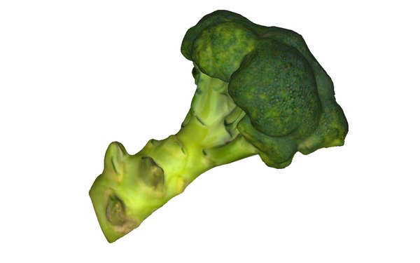 3D half broccoli - TurboSquid 1641342