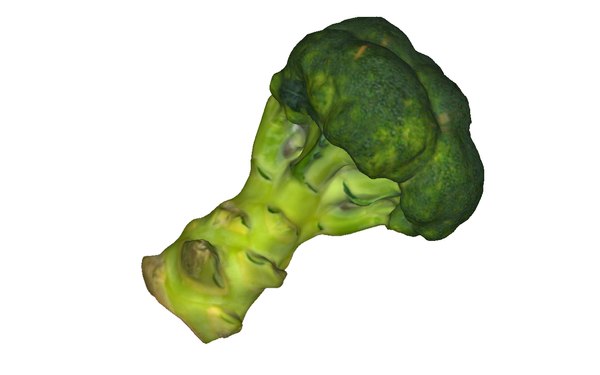 3D half broccoli - TurboSquid 1641342