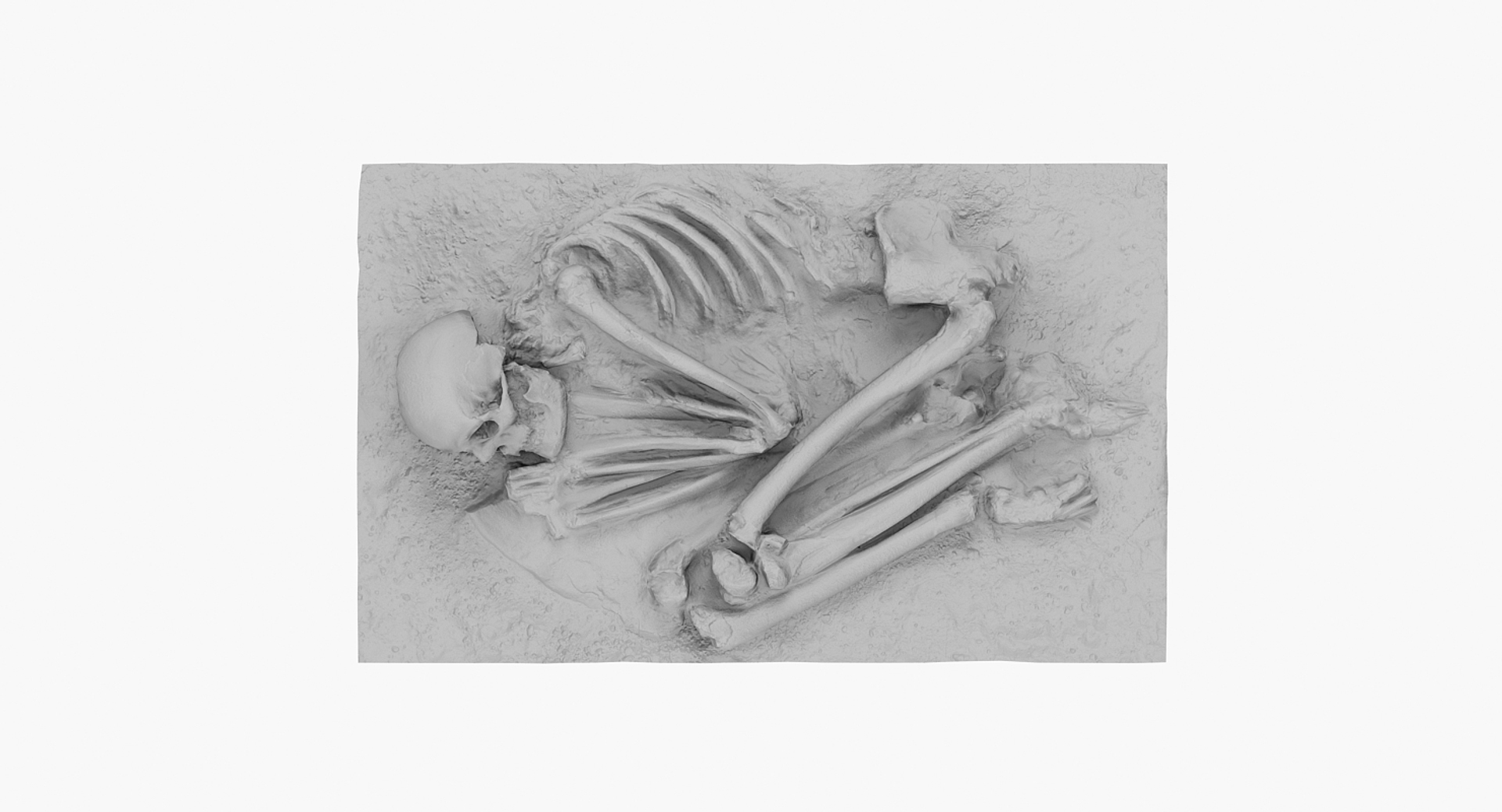 Real humen 3D - TurboSquid 1393349