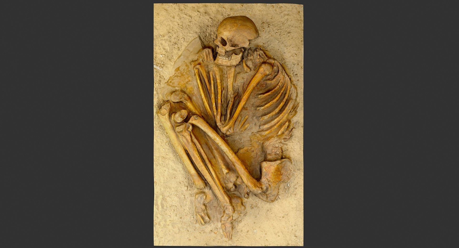 Real humen 3D - TurboSquid 1393349