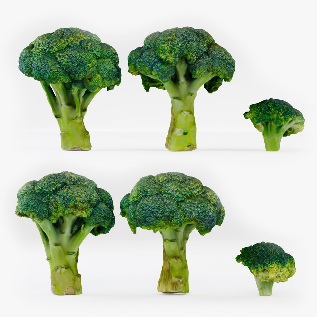 Broccoli 3D model - TurboSquid 1826547