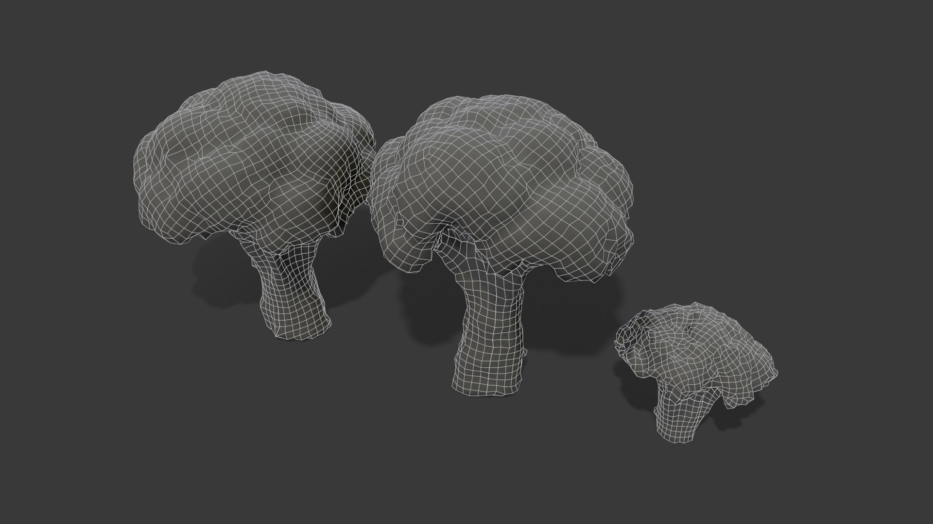 Broccoli 3D Model - TurboSquid 1826547