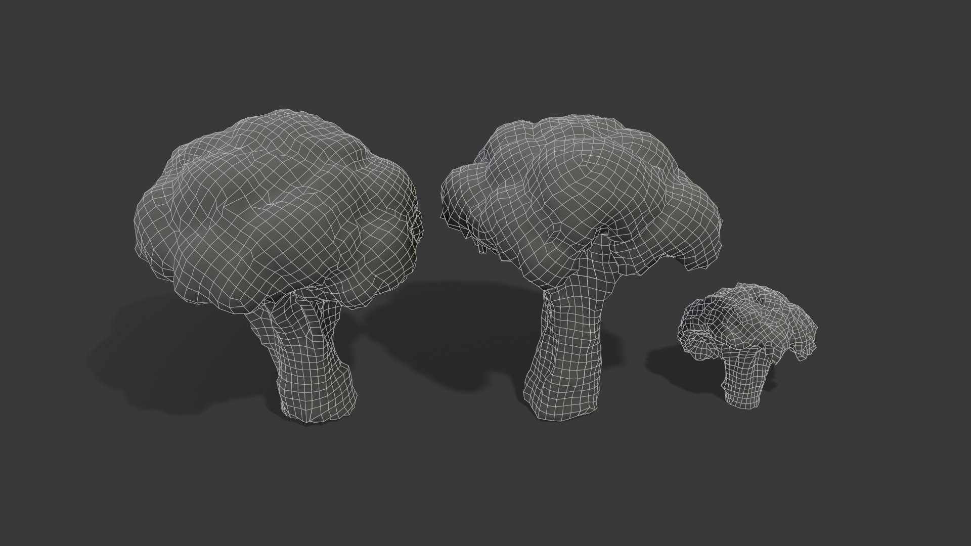 Broccoli 3D Model - TurboSquid 1826547