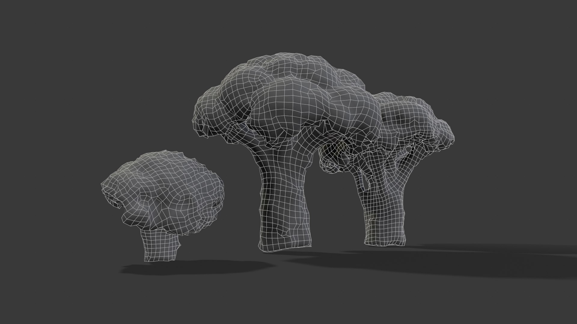 Broccoli 3D Model - TurboSquid 1826547