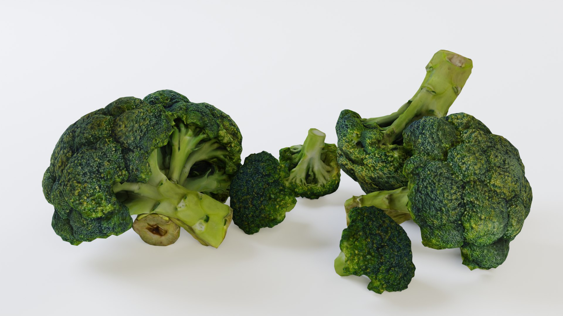 Broccoli 3D Model - TurboSquid 1826547