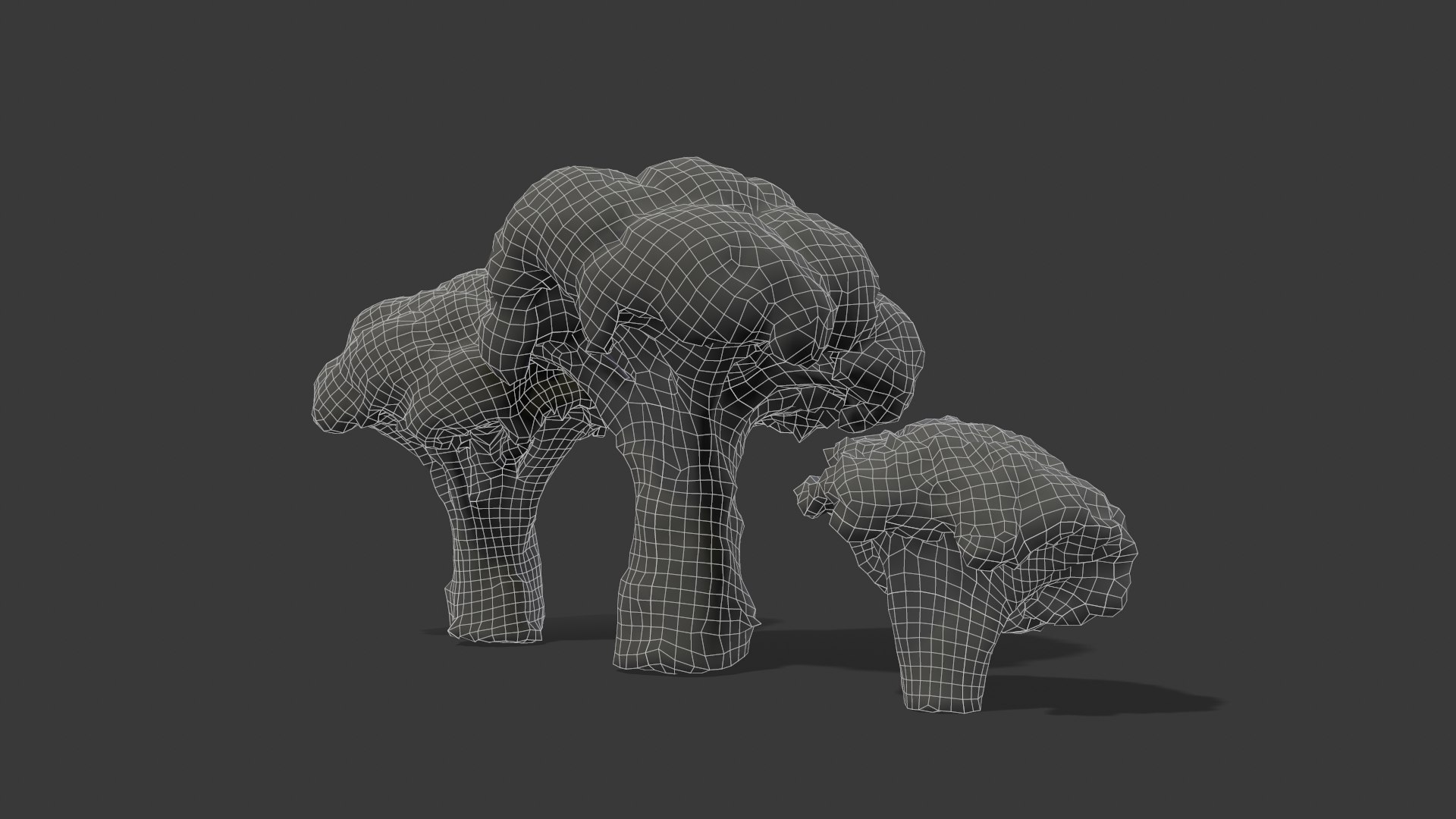 Broccoli 3D Model - TurboSquid 1826547