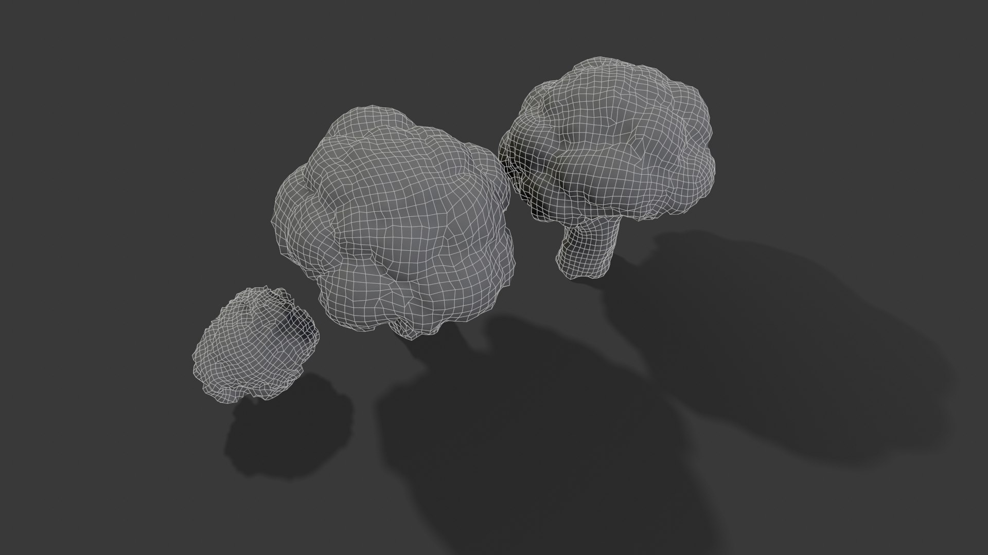 Broccoli 3D Model - TurboSquid 1826547
