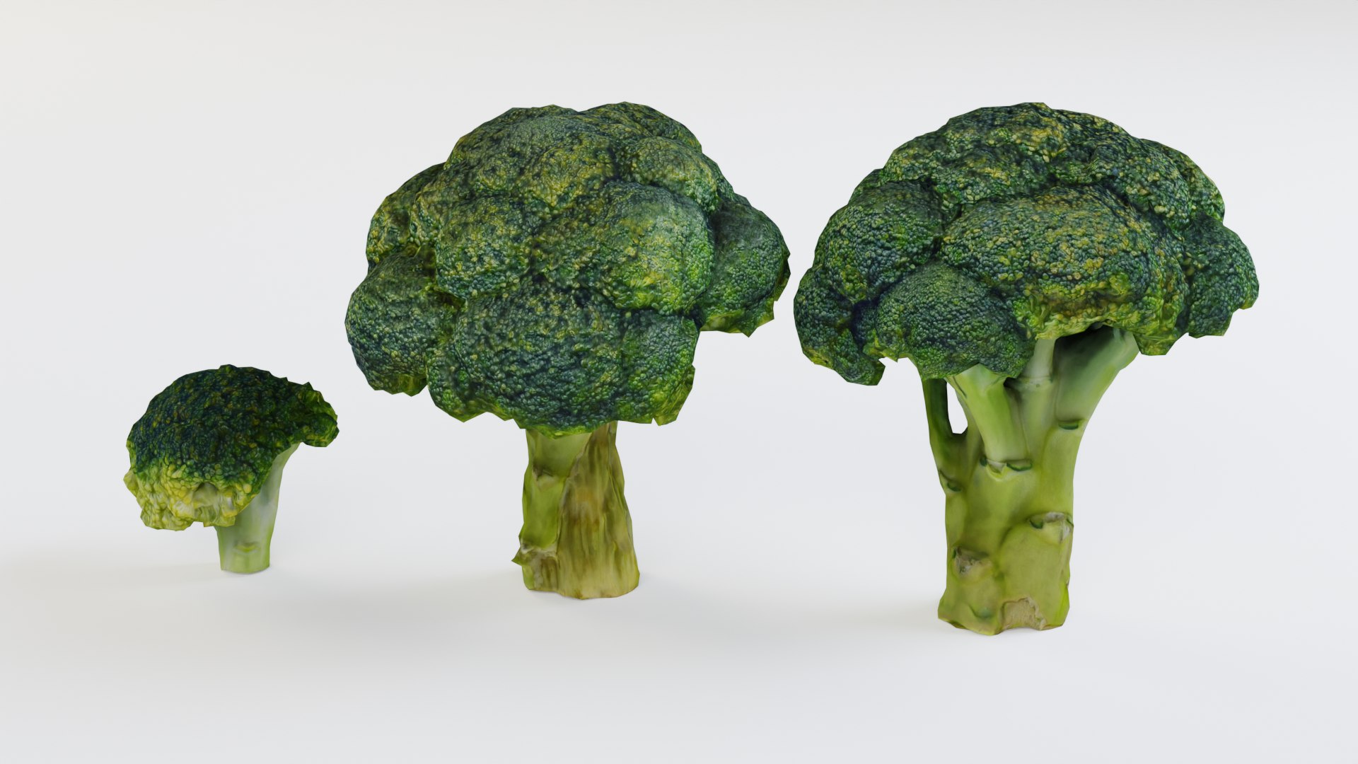 Broccoli 3D Model - TurboSquid 1826547