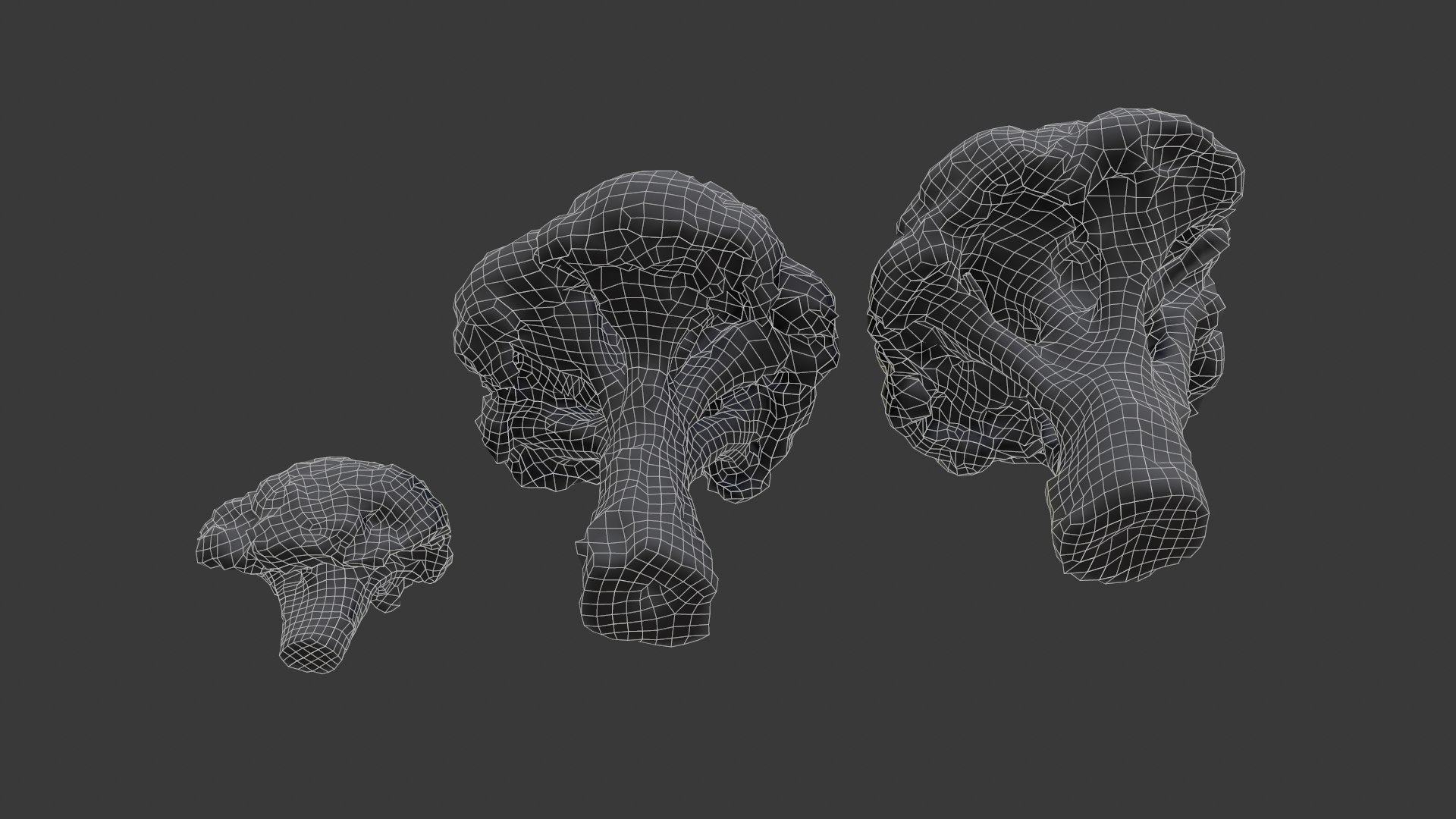 Broccoli 3D Model - TurboSquid 1826547