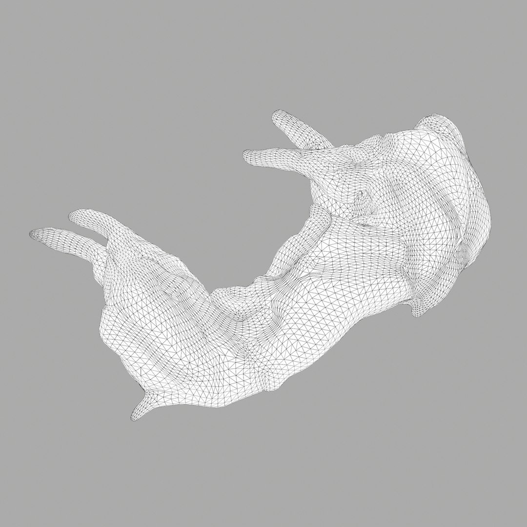 Skinned rabbit model - TurboSquid 1679206