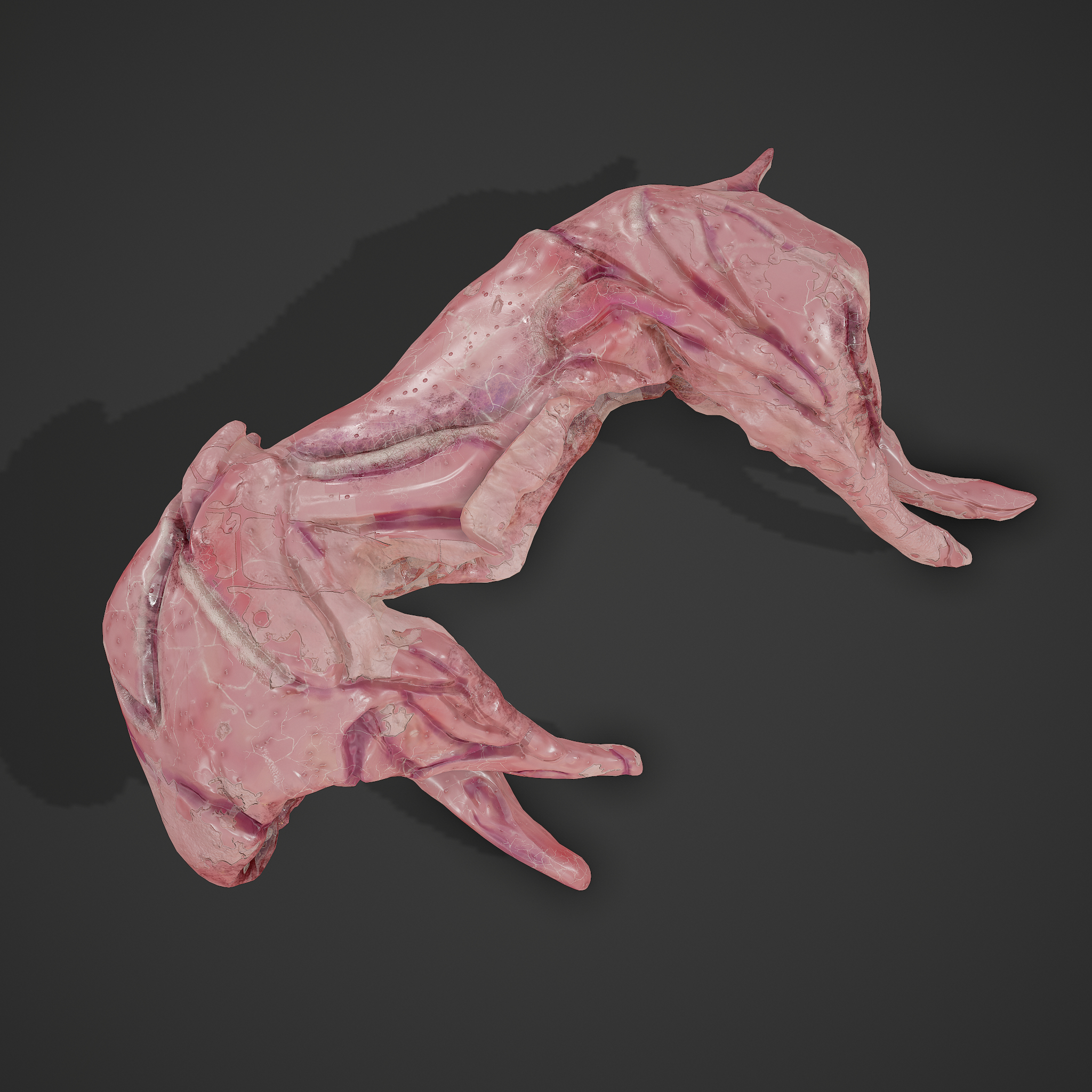 Skinned rabbit model - TurboSquid 1679206