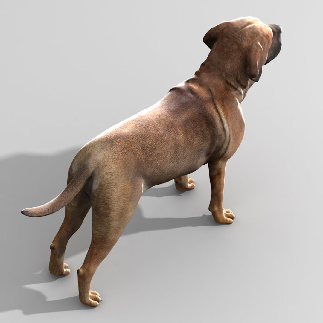 3ds Max Tosa Inu