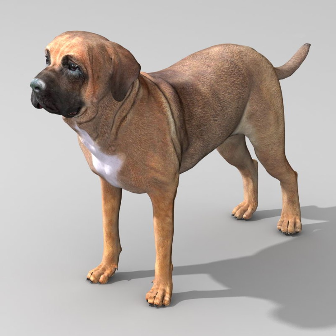 3ds Max Tosa Inu