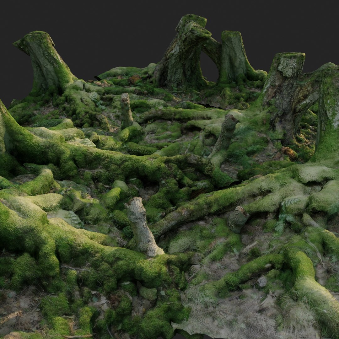 Scanned Nature Forest Roots 3D Model - TurboSquid 1190020