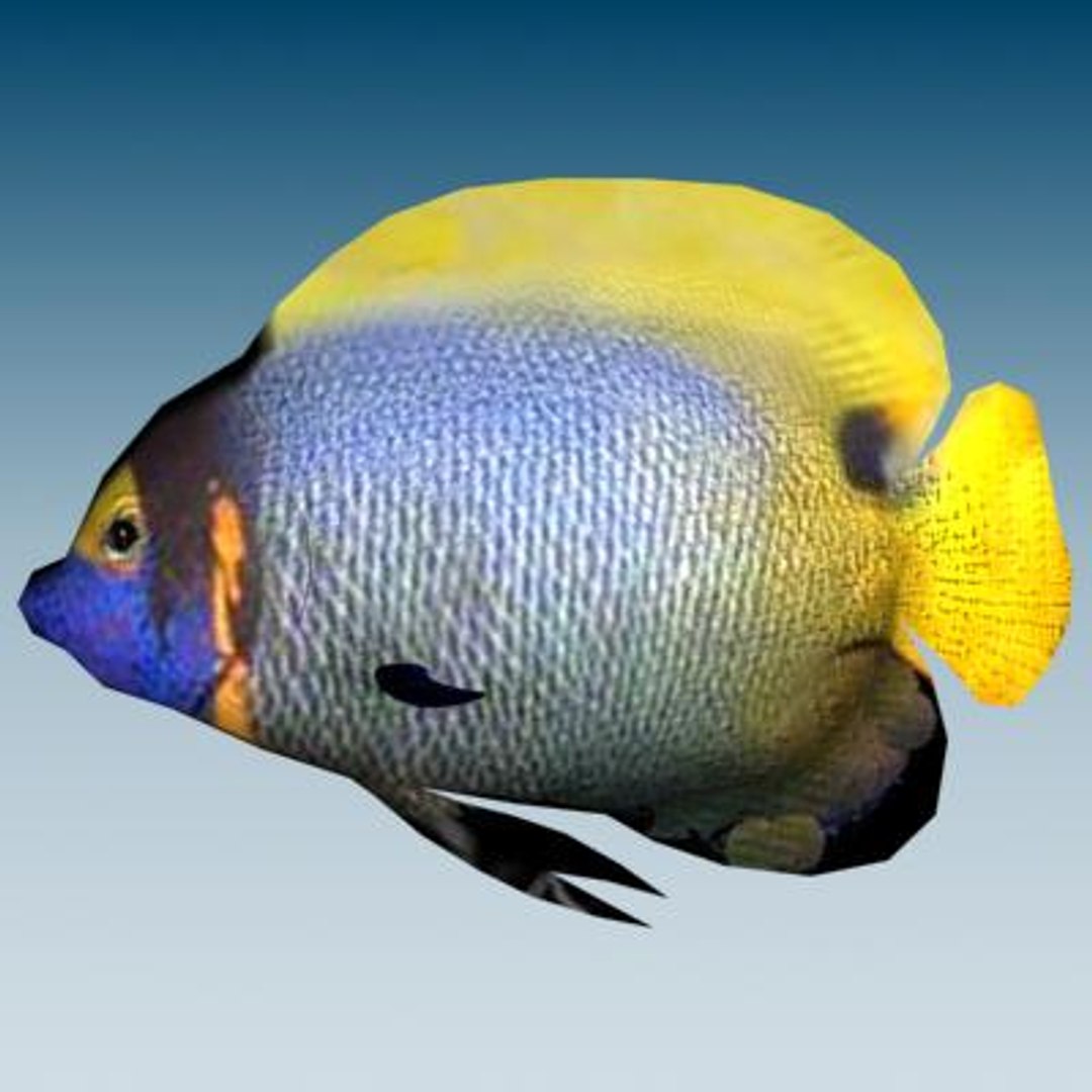 3ds Max Tropical Fish 2
