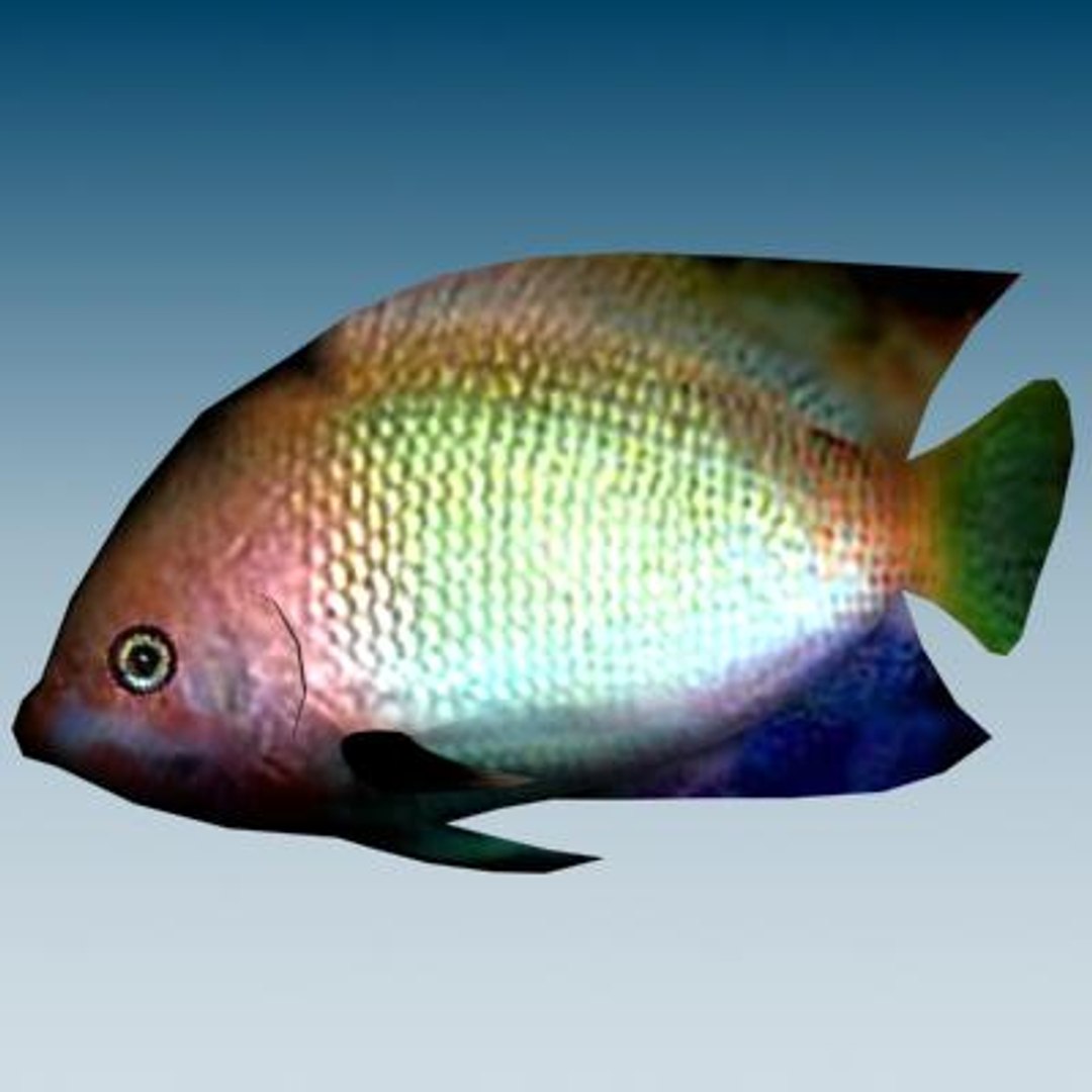 3ds Max Tropical Fish 2