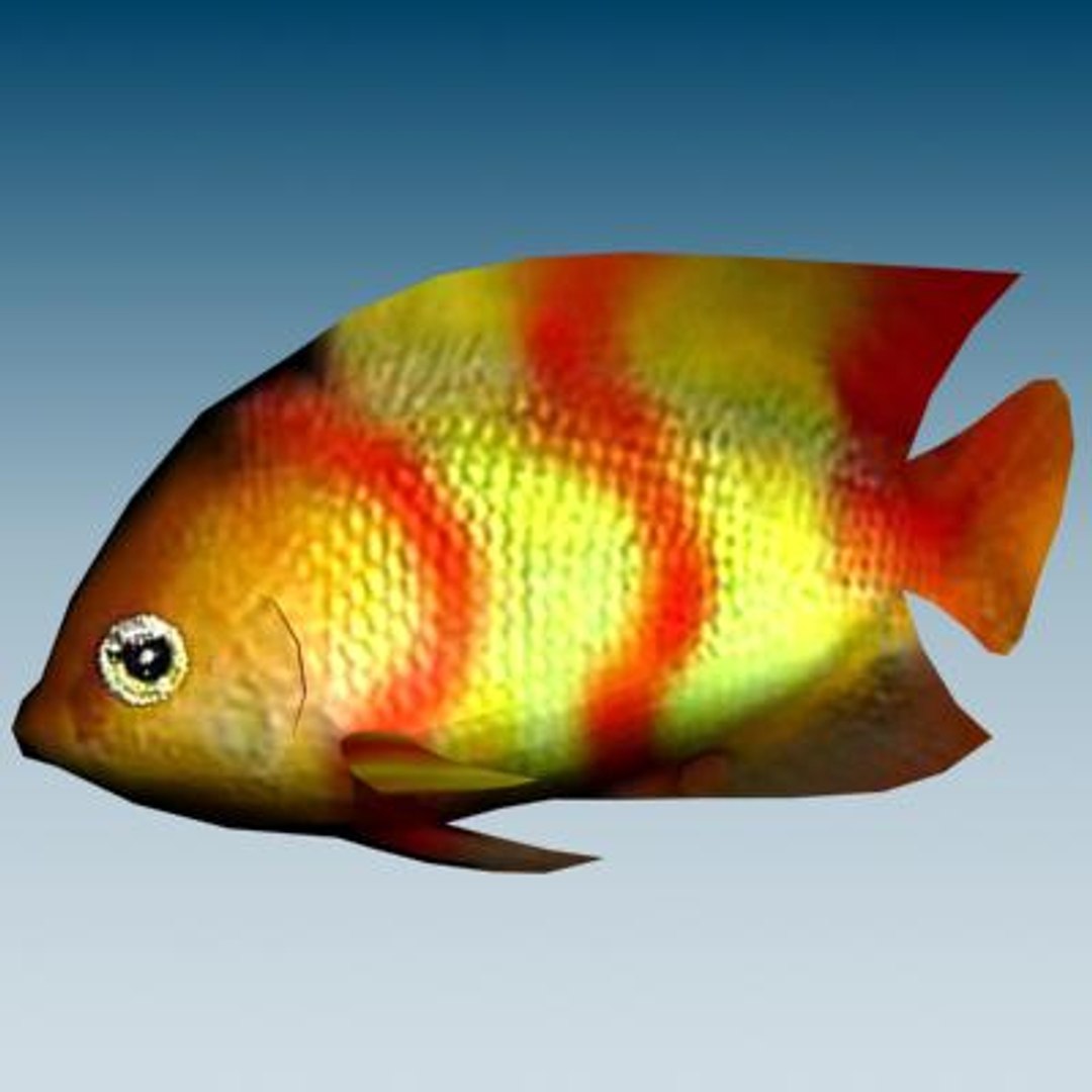 3ds Max Tropical Fish 2
