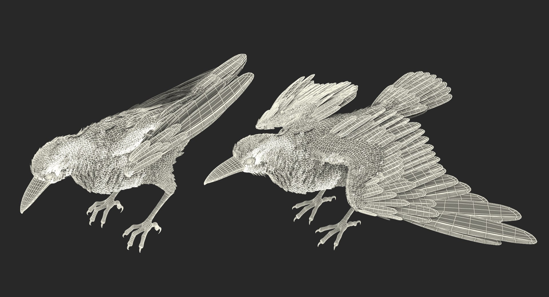 Rigged Raven Sparrow 3D - TurboSquid 1395709