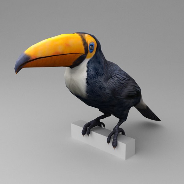 modelo 3d Modelo aparejado tucán - TurboSquid 1128447