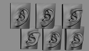 3D Ear Models - Browse & Download Formats - TurboSquid