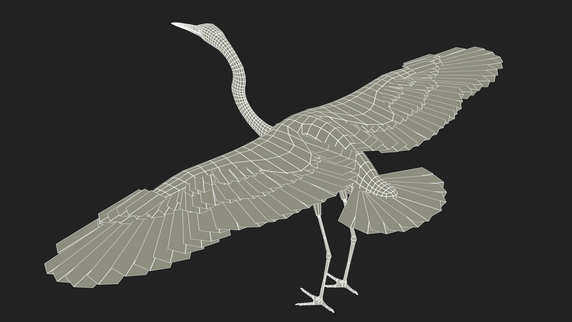 3D Egret Model - TurboSquid 2009072