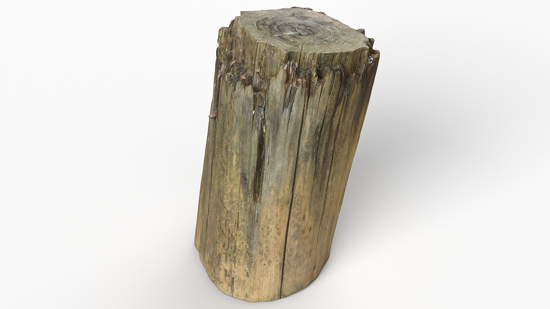 3D Tree Stump Collection 14 - TurboSquid 2139143