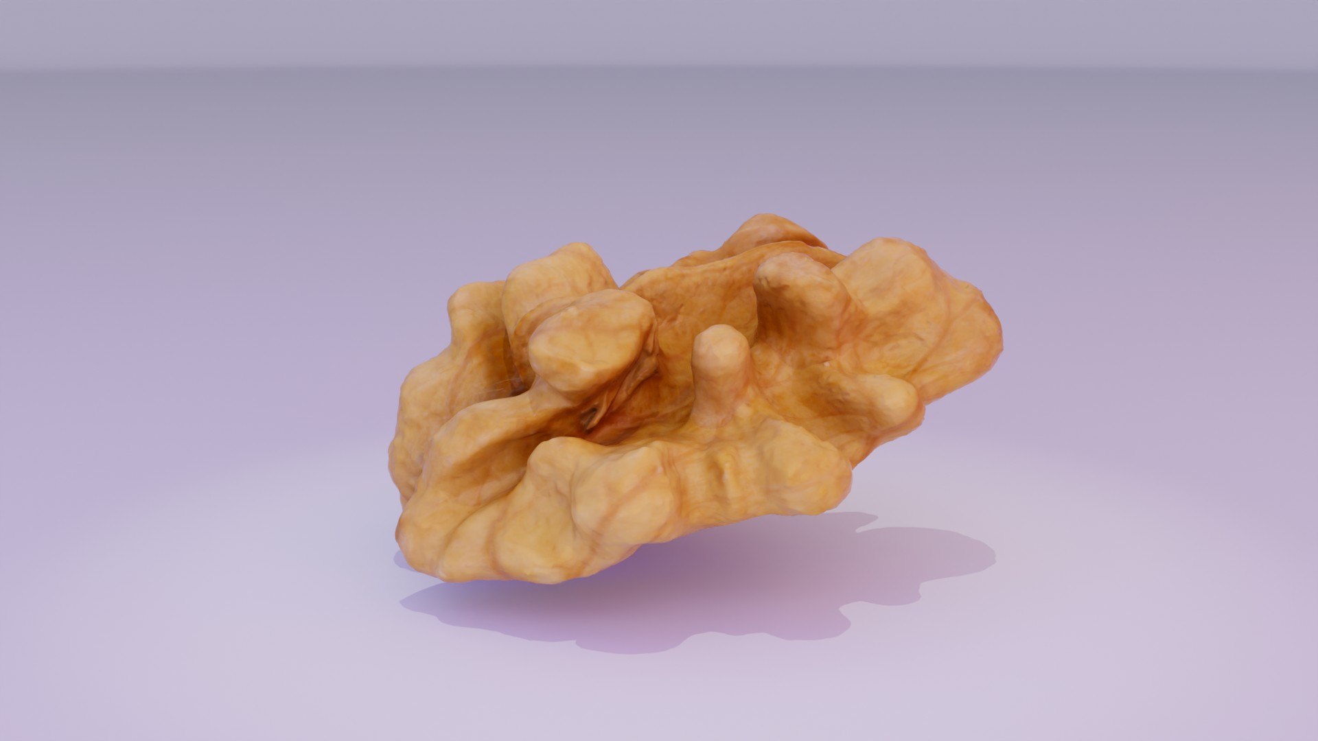 Walnut Half Kernel High-poly 3D Model Model - TurboSquid 1860376