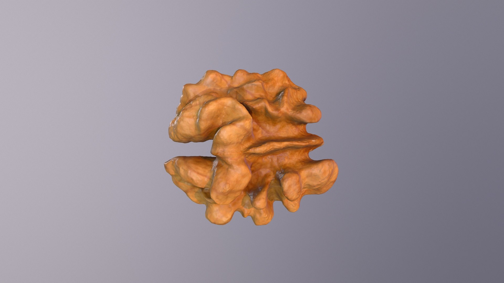 Walnut Half Kernel High-poly 3D Model Model - TurboSquid 1860376
