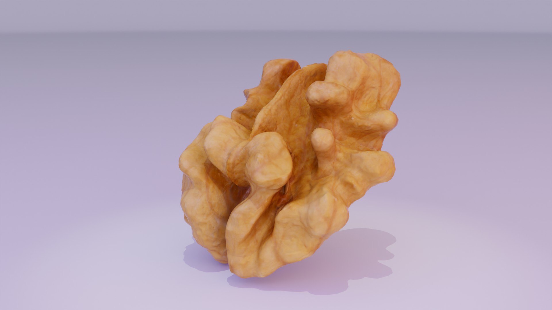 Walnut Half Kernel High-poly 3D Model Model - TurboSquid 1860376