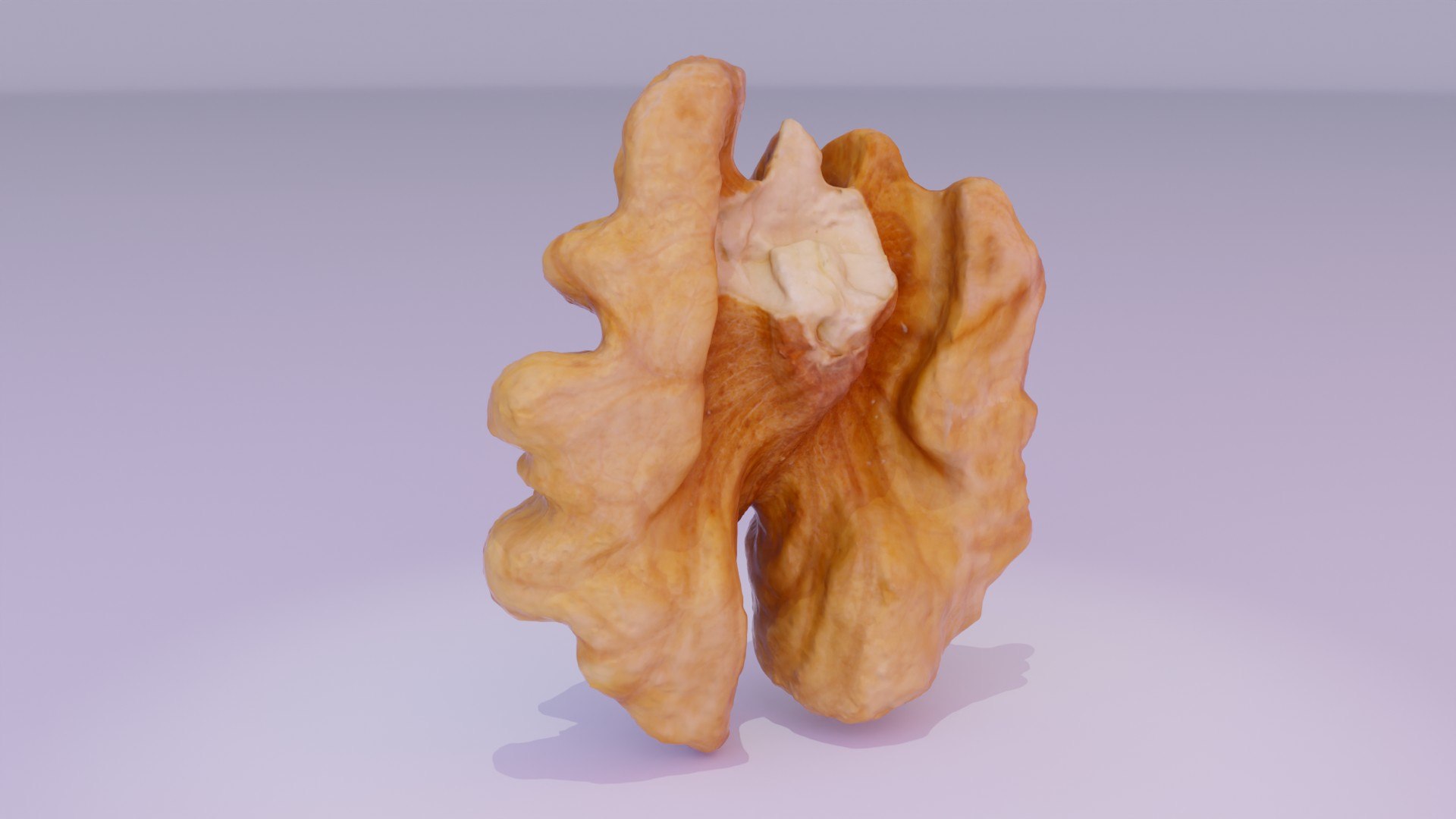 Walnut Half Kernel High-poly 3D Model Model - TurboSquid 1860376