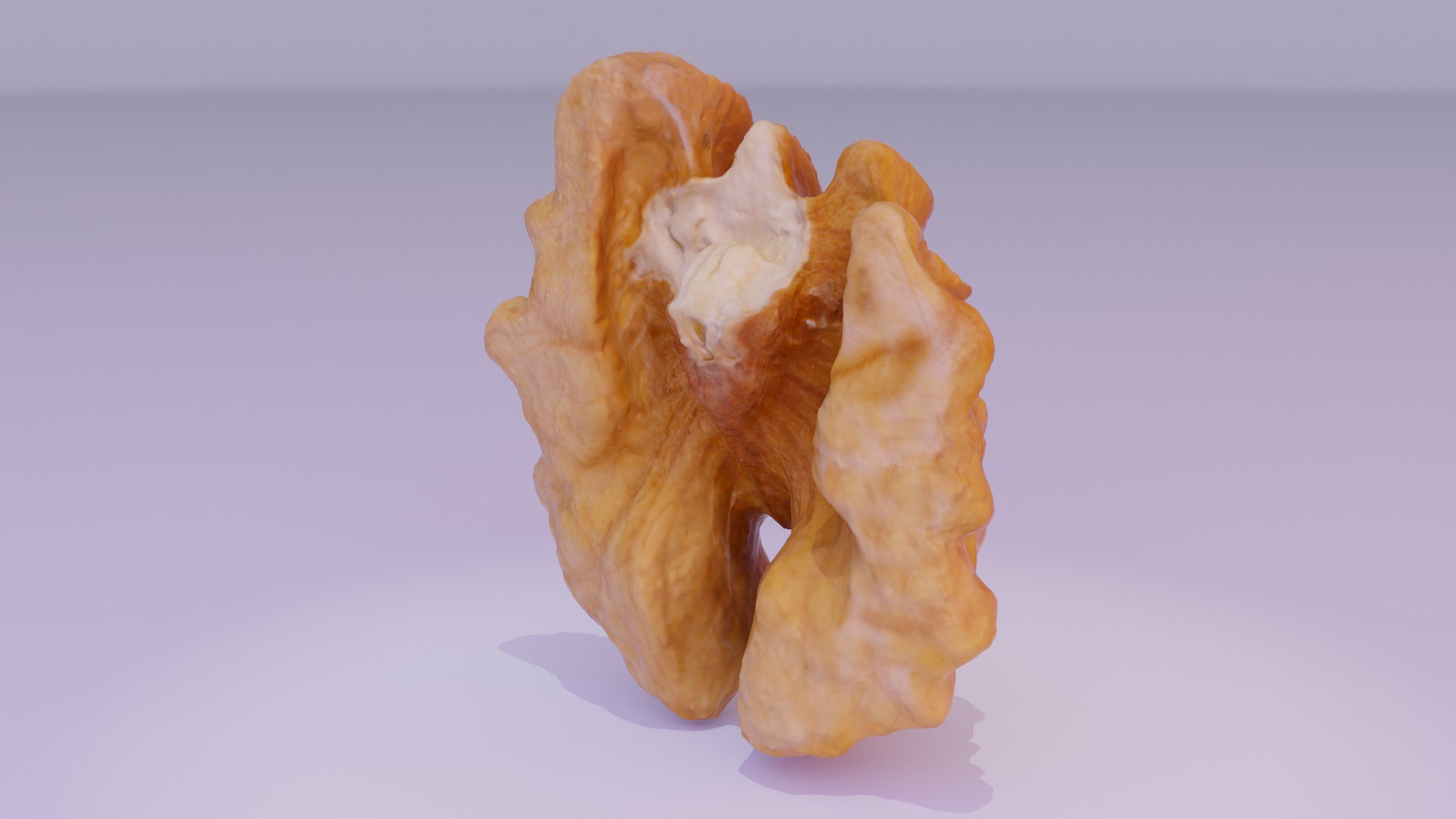 Walnut Half Kernel High-poly 3D Model Model - TurboSquid 1860376