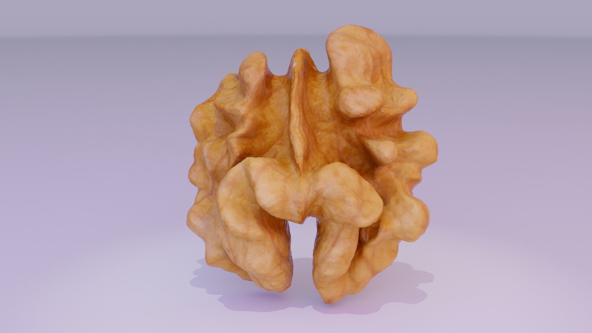 Walnut Half Kernel High-poly 3D Model Model - TurboSquid 1860376