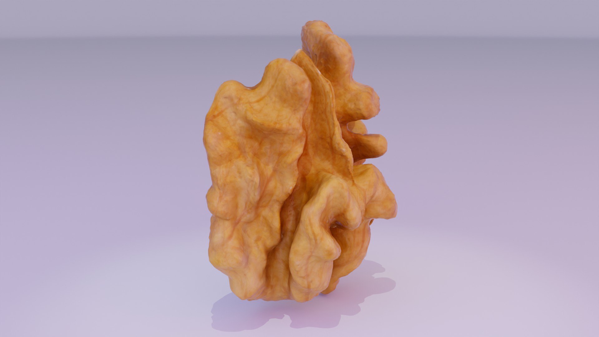 Walnut Half Kernel High-poly 3D Model Model - TurboSquid 1860376