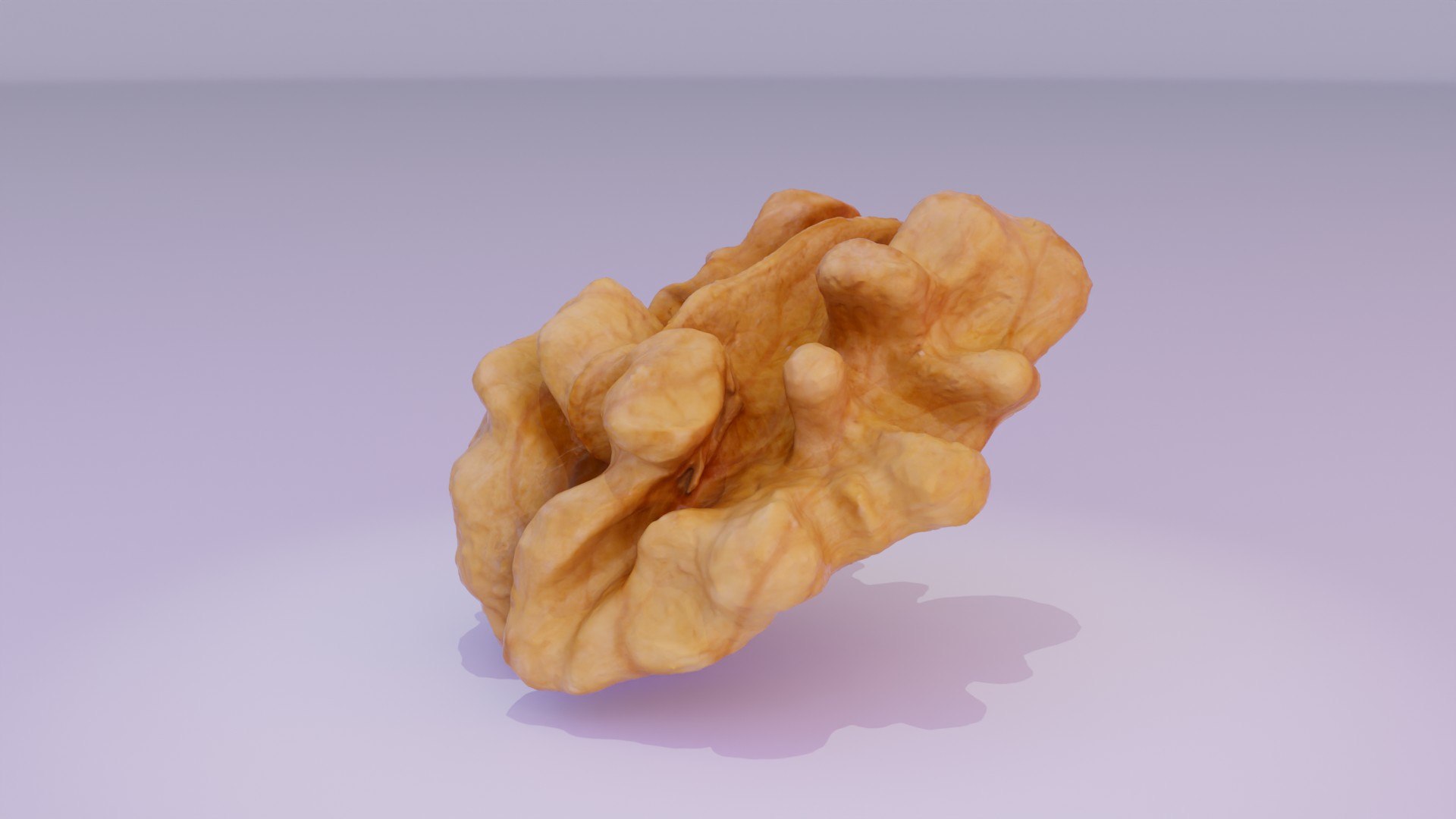 Walnut Half Kernel High-poly 3D Model Model - TurboSquid 1860376