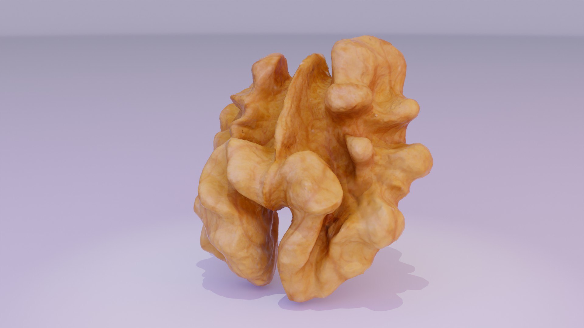 Walnut Half Kernel High-poly 3D Model Model - TurboSquid 1860376