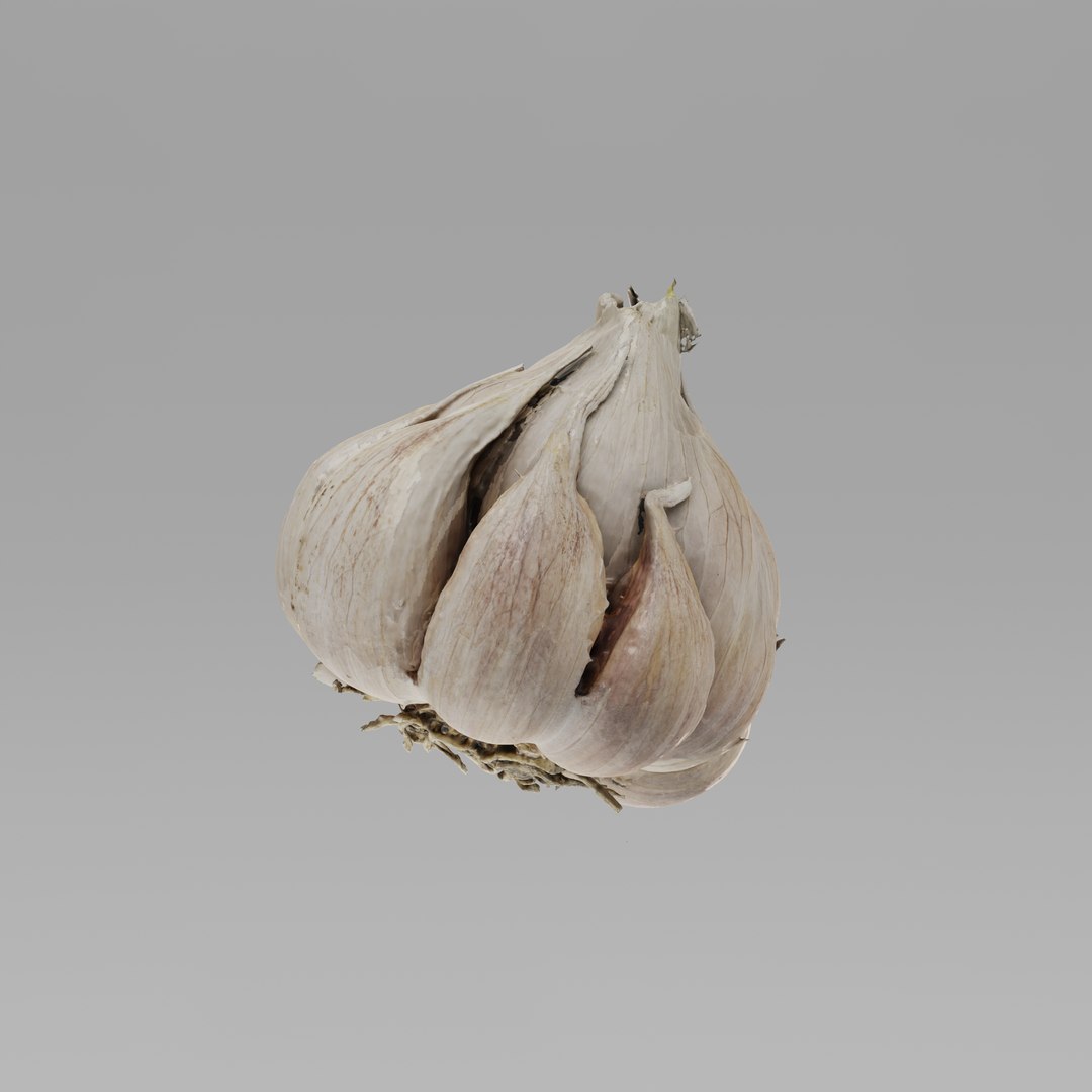 3D Garlic Model - TurboSquid 2051362