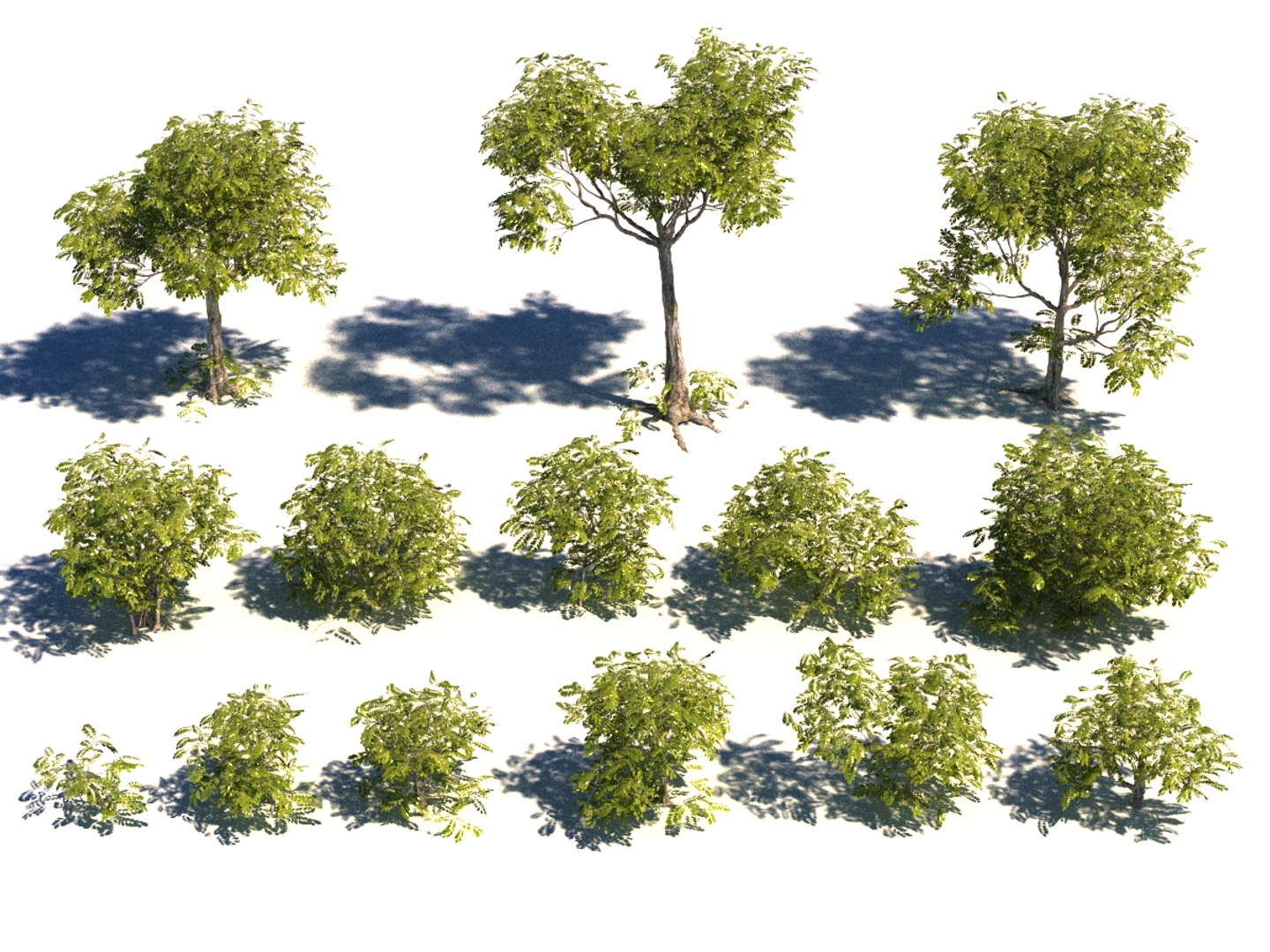 3D Small Trees Bushes 2 Model - TurboSquid 1285245