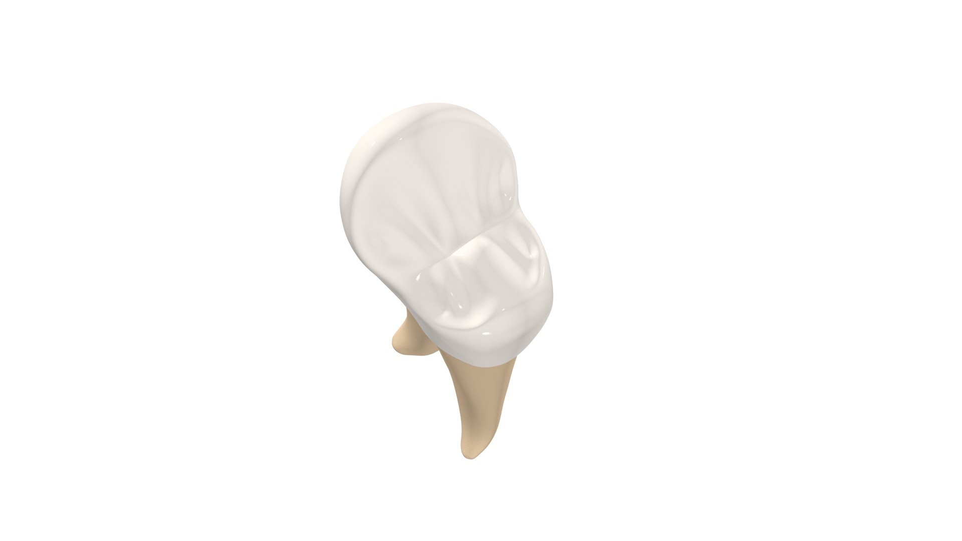 3D Upper First Premolar Tooth - TurboSquid 1771858