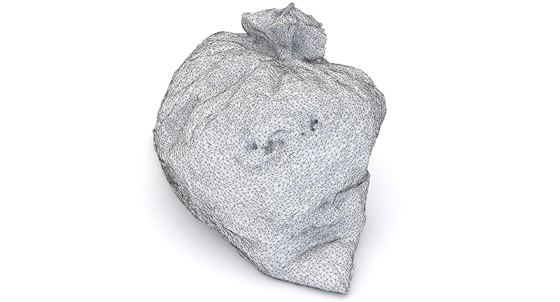 Garbage Bag 3D Model - TurboSquid 1258137