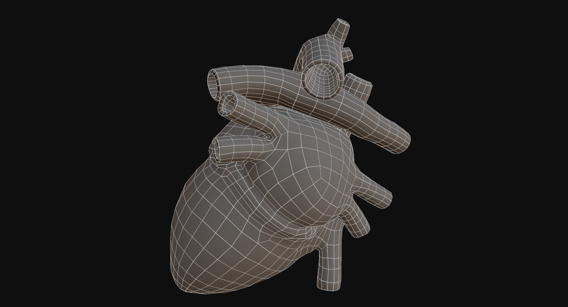 Human Heart 3d Ma