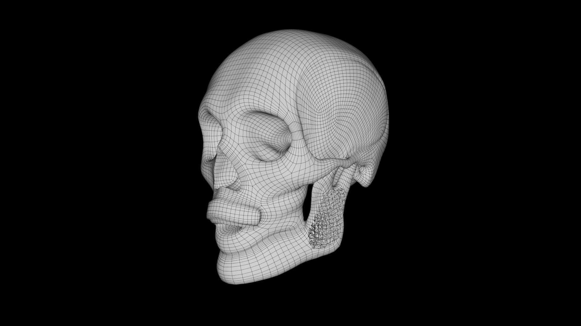 3D Human Anatomy-Muscular System-Head Left Anterior Lateral Masticatory ...