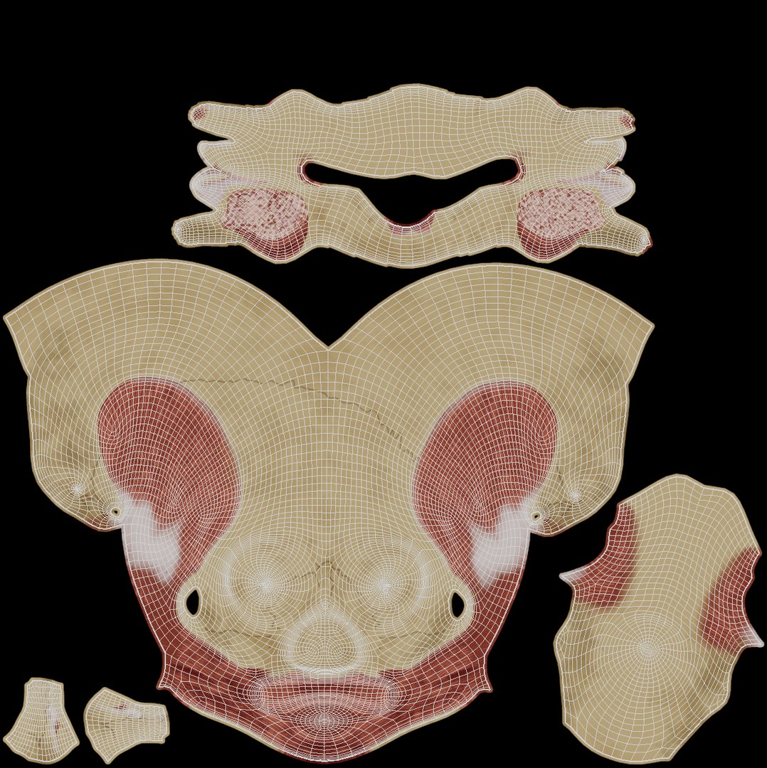 3D Human Anatomy-Muscular System-Head Left Anterior Lateral Masticatory ...
