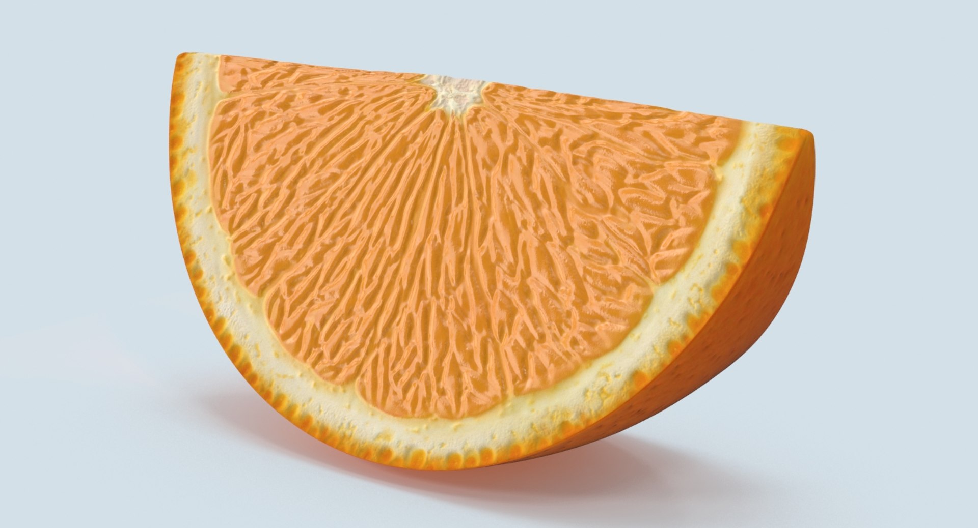 Orange Slice 3d Model