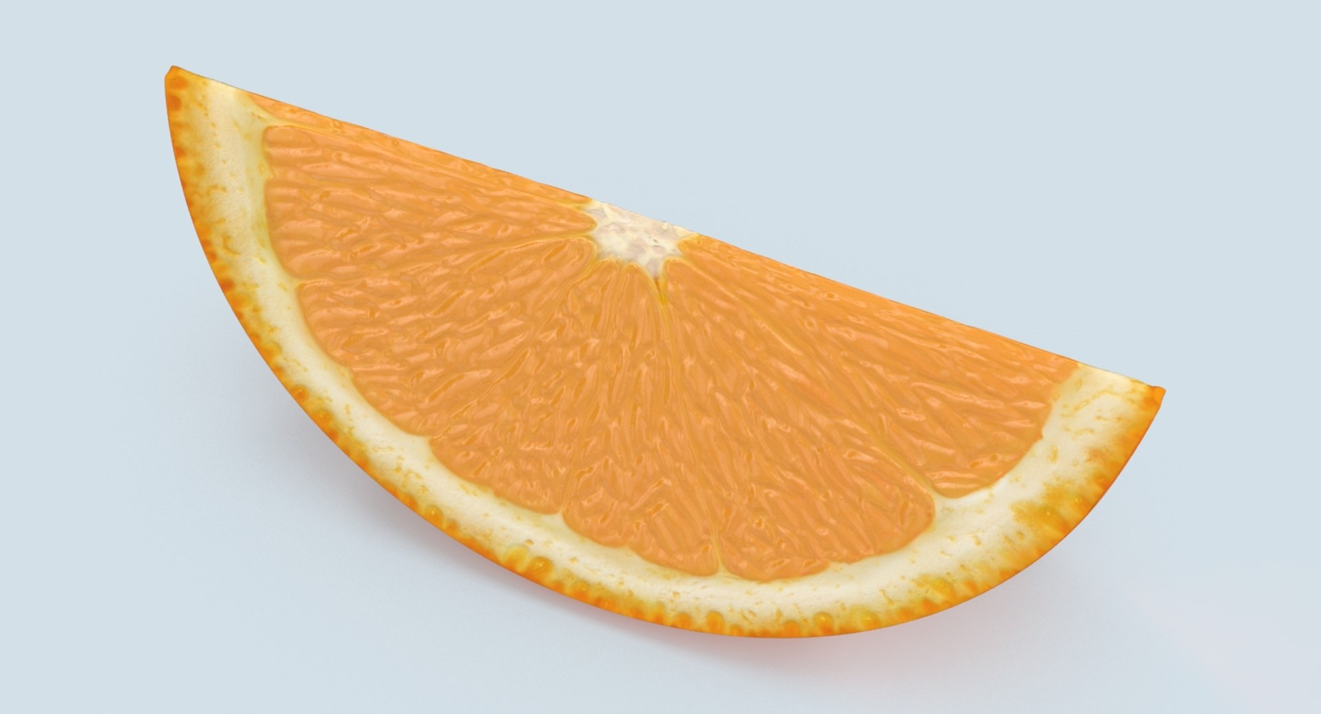 Orange Slice 3d Model