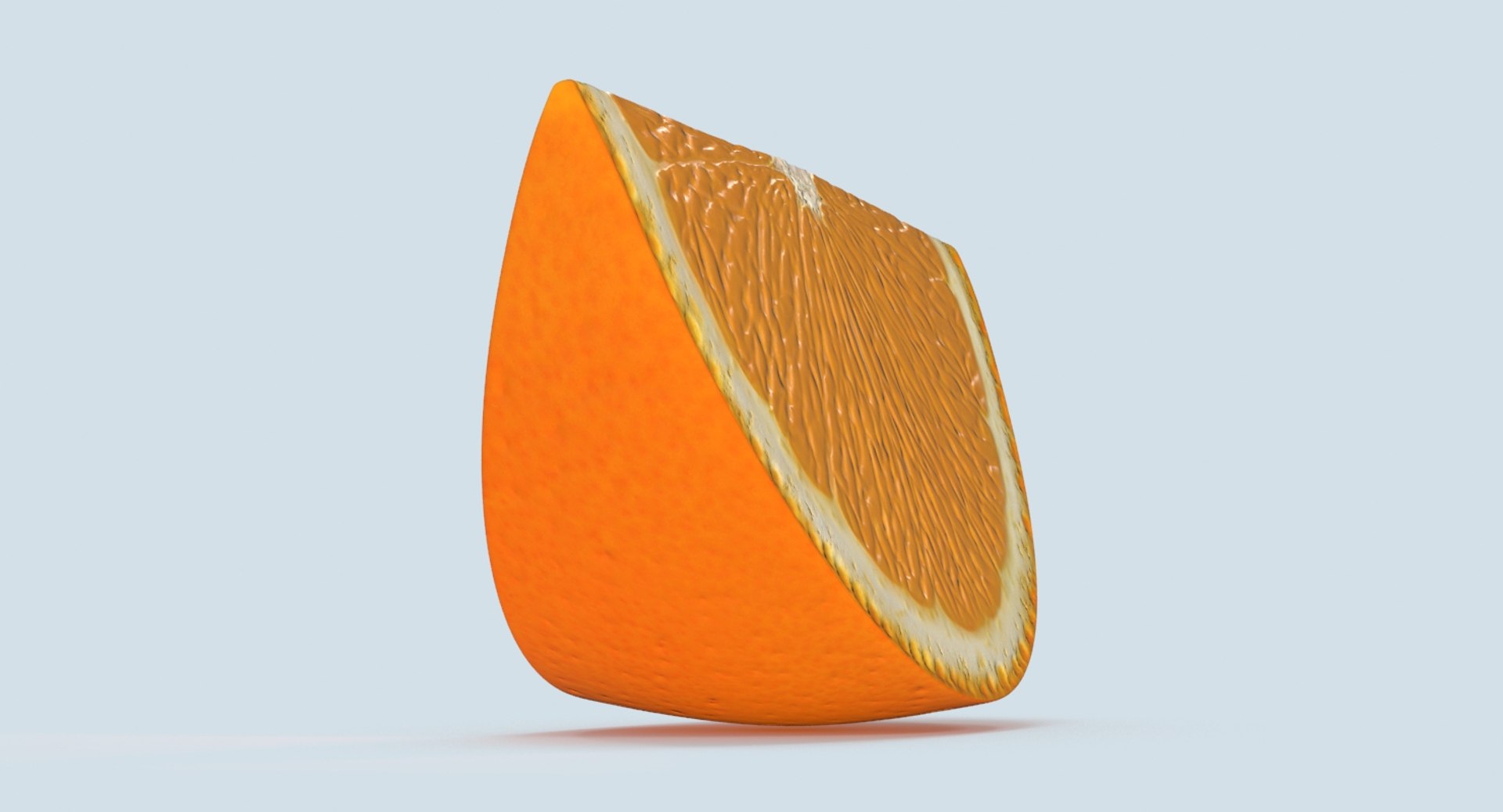 Orange Slice 3d Model