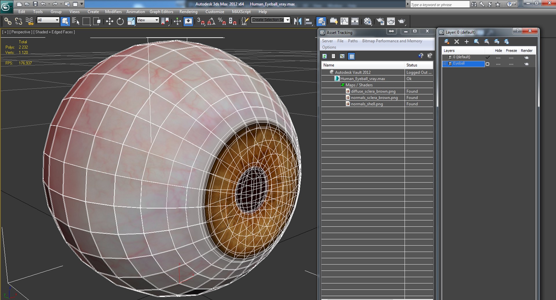 Human eyeball 3D model - TurboSquid 1241327